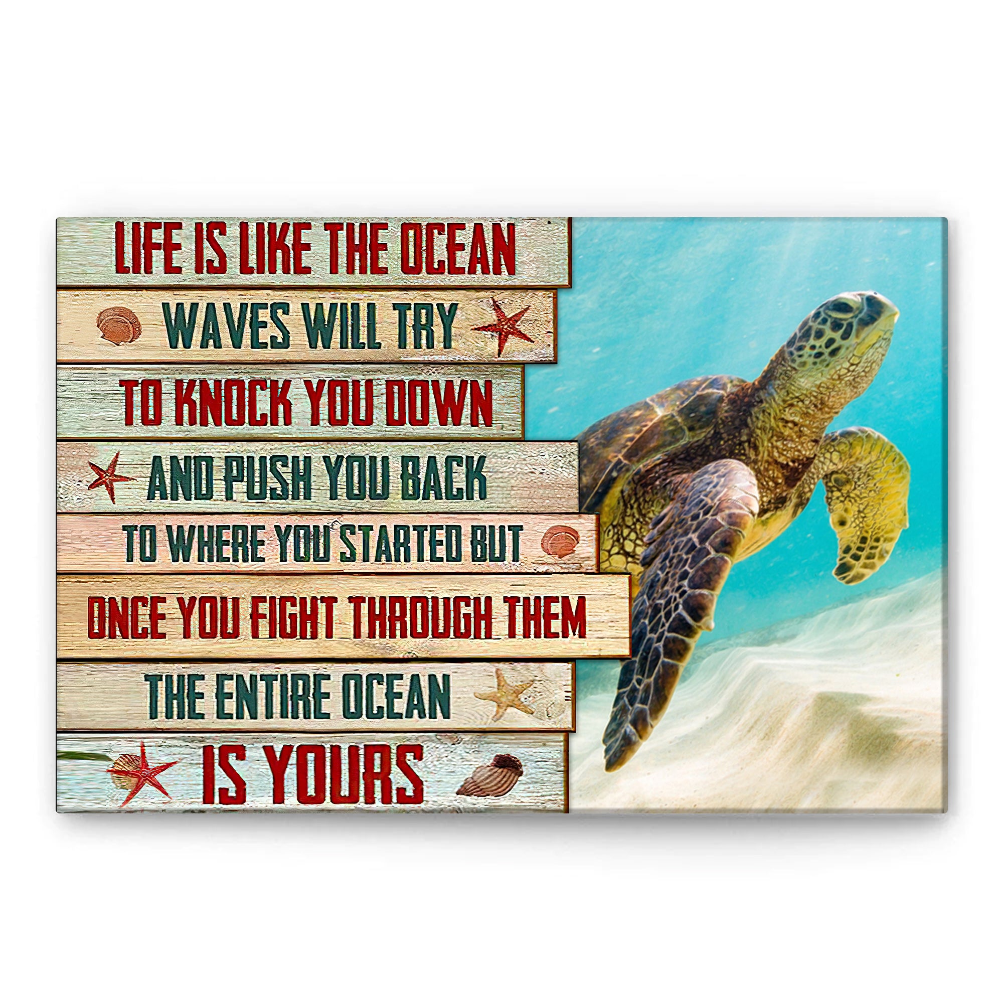 Great Quotes About Turtles Actual Ninja Turtle Quotes : R/TMNT